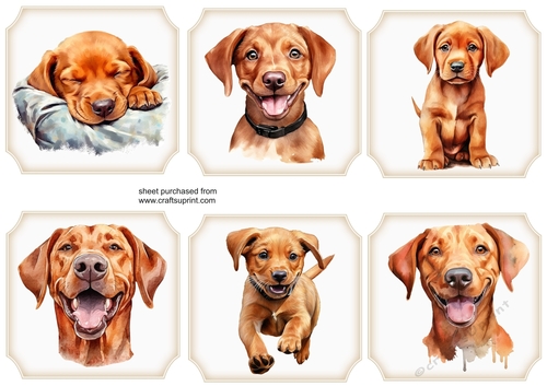 6 Red fox Labrador toppers - CUP1218387_659 | Craftsuprint