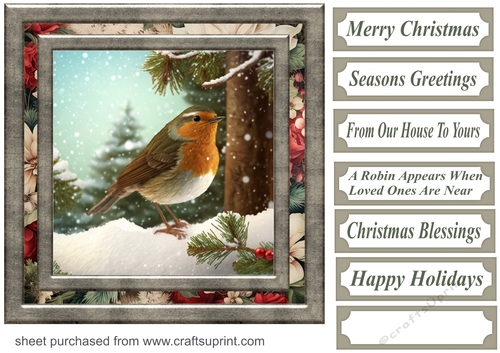 Christmas robin card front 6 - CUP1240491_659 | Craftsuprint