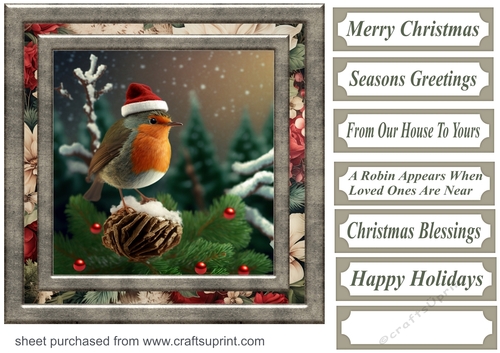 Christmas robin card front 7 - CUP1240492_659 | Craftsuprint