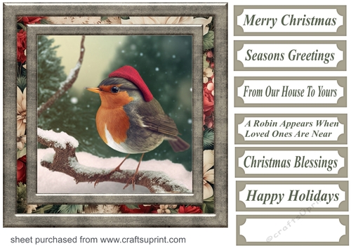 Christmas robin card front 8 - CUP1240493_659 | Craftsuprint