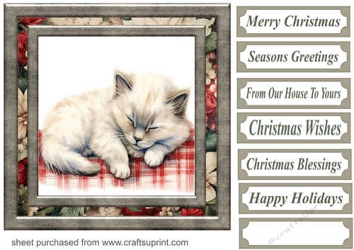 Framed Christmas kitty card front 12 - CUP1252132_659 | Craftsuprint