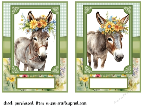 2 Floral donkey card fronts 3 - CUP1277220_659 | Craftsuprint