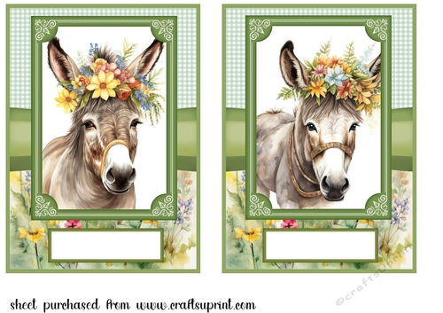 2 Floral donkey card fronts 7 - CUP1277225_659 | Craftsuprint