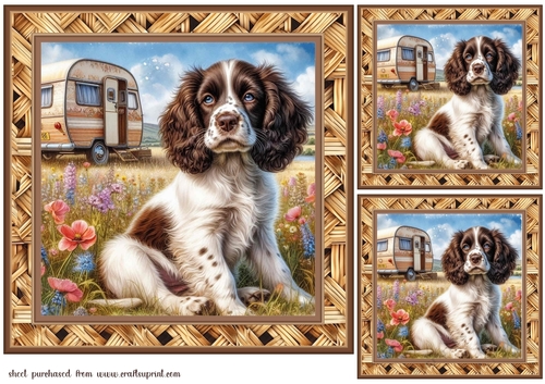 3 Caravan pup card fronts/toppers 5 - CUP1302345_659 | Craftsuprint