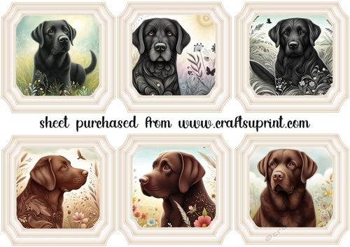 6 Black and Chocolate Labrador toppers - CUP1312797_659 | Craftsuprint