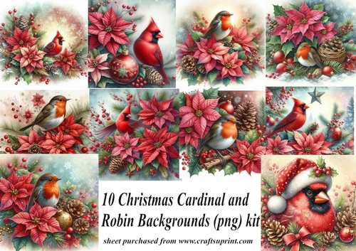10 Christmas cardinal and robin backgrounds (png) kit - CUP1319154_659 ...