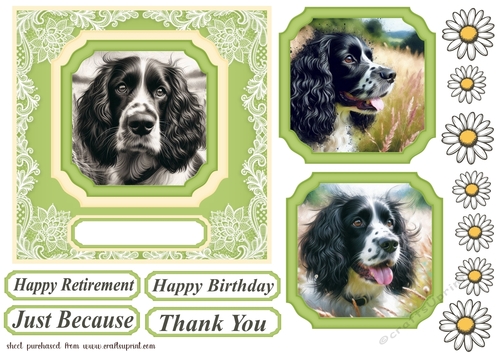 Black and white Springer Spaniel card front - CUP1320368_659 | Craftsuprint