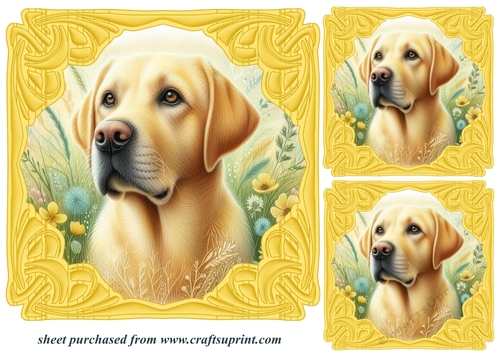 3 Yellow Labrador card front/toppers - CUP1320708_659 | Craftsuprint