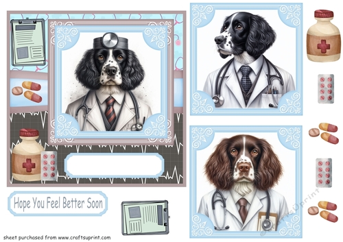 Springer Spaniel doctor get well soon card front - CUP1320977_659 ...