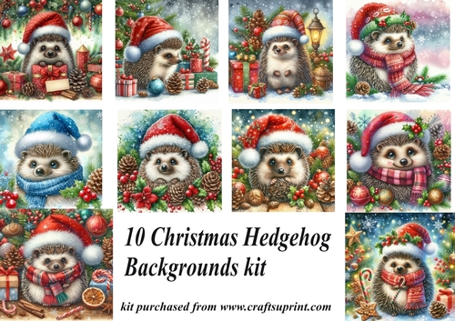 10 Christmas hedgehog backgrounds kit - CUP1321756_659 | Craftsuprint