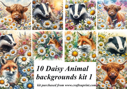 10 Daisy animal backgrounds kit 1 - CUP1321770_659 | Craftsuprint