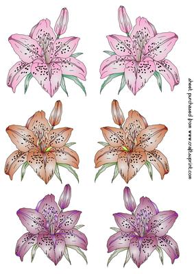 6 Coloured Lily Toppers - CUP388983_659 | Craftsuprint