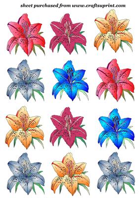 Assorted Lilies Toppers 2 - CUP391242_659 | Craftsuprint