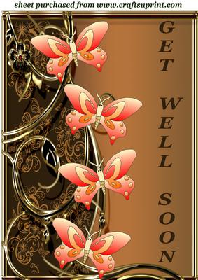 Bronze/orange Floral Butterfly Get Well Soon Topper - CUP392336_659 ...