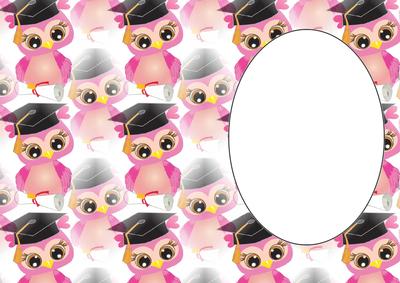 Pink Graduation Owl Insert - CUP614983_659 | Craftsuprint
