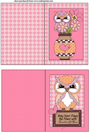 2 Pink owl notelets - CUP785039_659 | Craftsuprint