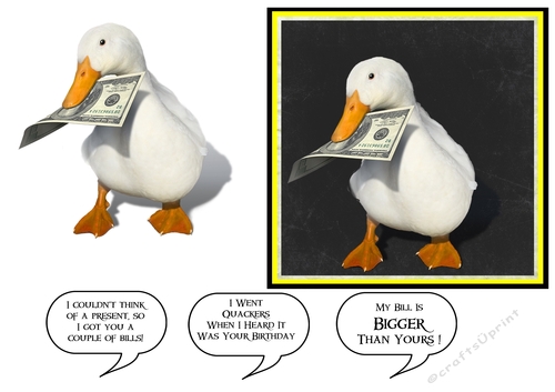 Totally Quackers! - CUP804049_81178 | Craftsuprint