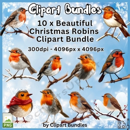 10 x Christmas Robins Clipart Bundle - CUP1349305_128605 | Craftsuprint