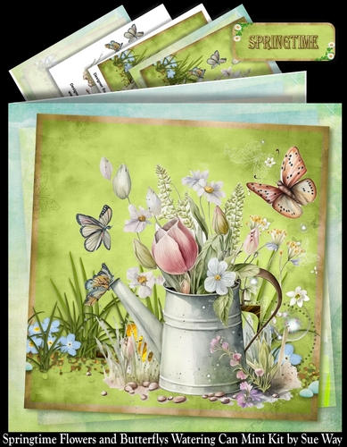 Spring Flowers and Butterflies Watering Can Mini Kit - CUP1201146_38 ...