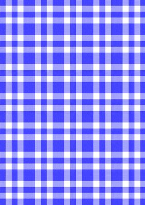 Blue and White Gingham Backing Paper - CUP319003_38 | Craftsuprint