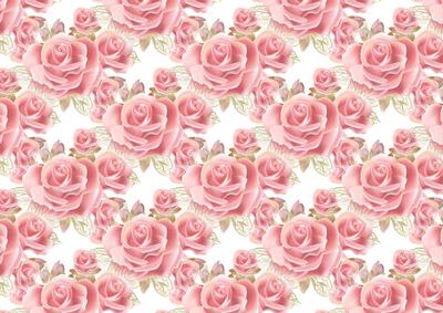 Plump Pink Roses Backing Paper - CUP535664_38 | Craftsuprint