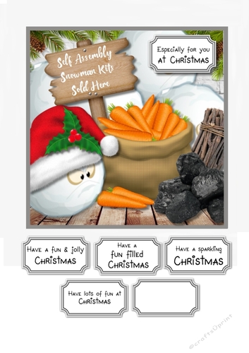Self Assembly Snowmen Kits For Sale - CUP1068949_43516 | Craftsuprint