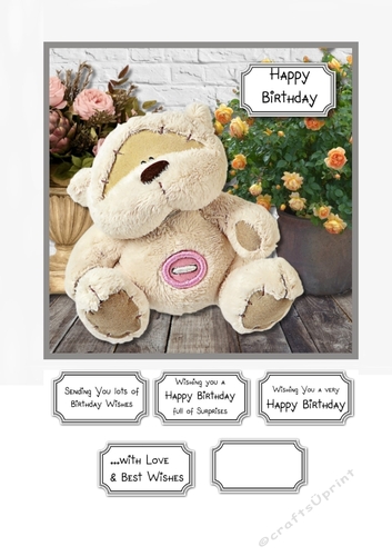 Fizzy moon and flowers card topper - CUP1125951_43516 | Craftsuprint