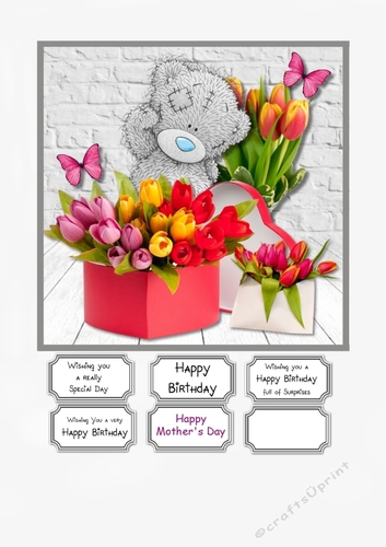 Tatty Teddy with Spring Tulips and Butterflies for Birthday or Mothers ...