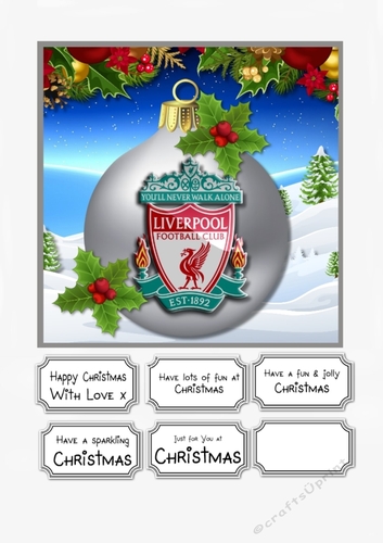 Liverpool fan Christmas - CUP1185647_43516 | Craftsuprint
