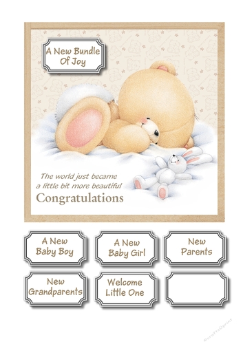 Forever friends new baby girl/boy - CUP860909_43516 | Craftsuprint