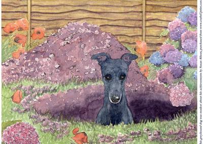 This Greyhound Dog Was Modest About His Achievements - CUP227144_1030 ...