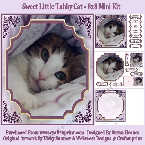 Sweet Little Tabby Cat - 8x8 Mini Kit - CUP1067214_846 | Craftsuprint