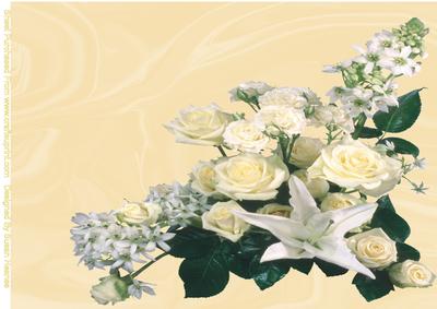 Beautiful Cream Roses Corner Bouquet - CUP212361_846 | Craftsuprint