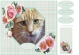 Gorgeous Charlie Insert - Lovable Pet Collection - CUP727397_846 ...