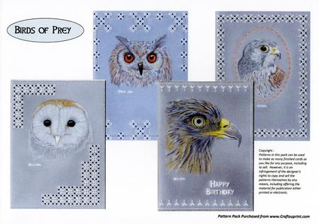 Birds of Prey Pattern Pack - CUP259948_106 | Craftsuprint