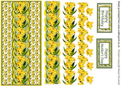 Daffodil Border Dl Card - CUP41855_489 | Craftsuprint