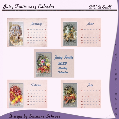 Juicy Fruits 3 Transparent Edition 2023 Portrait Calendar - CUP1131119 ...