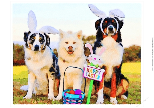 Easter Australian Shepherds Watercolor Painting A4 - CUP1150009_2329 ...