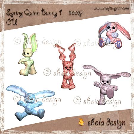 Spring Quinn Bunny 1 - CUP672295_2329 | Craftsuprint