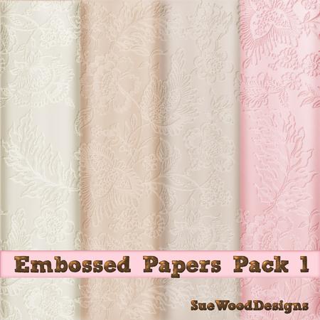 Embossed Paper Pack 12x12 Inches Commercial Use - CUP333376_927 ...