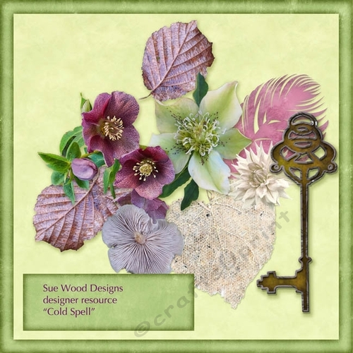 Cold Spell (designer resource kit) - CUP776608_927 | Craftsuprint