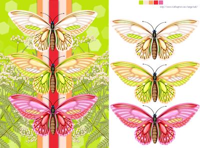 Butterfly Greeting Card Front for Any Occasion - CUP321564_1446 ...