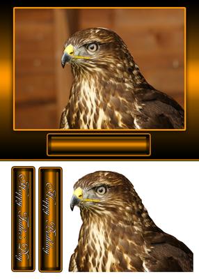 Buzzard Birthday / Father's Day Card - CUP329200_1446 | Craftsuprint