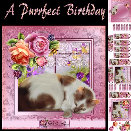 A Purrfect Birthday Cat Card Kit - CUP561485_1446 | Craftsuprint