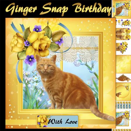 Ginger Snap Birthday Cat Card Kit - CUP561588_1446 | Craftsuprint
