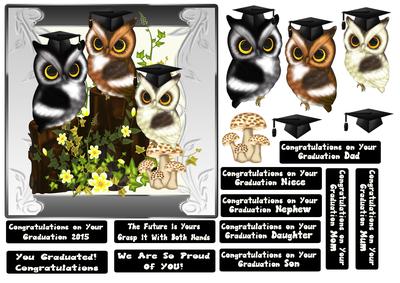 Triple Owl Graduation Congratulations Step by Step - CUP593182_1446 ...