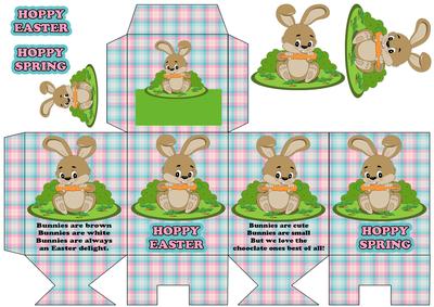 Little Bunny Easter Sweet Box - CUP607911_1446 | Craftsuprint
