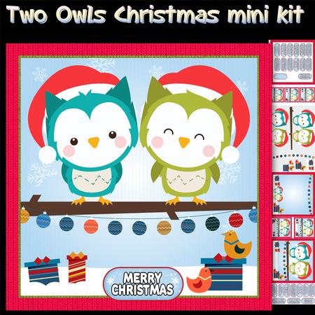 Winter Owls Mini Card Kit - CUP654434_1446 | Craftsuprint