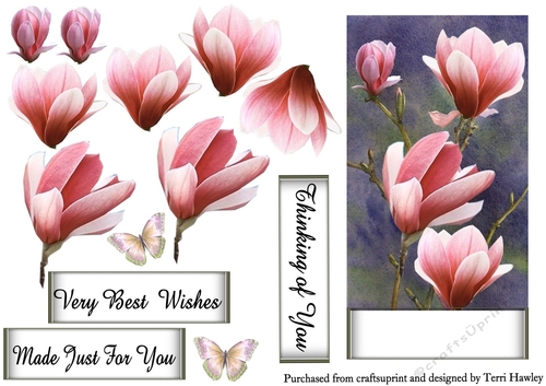 pink magnolia - CUP1176257_906 | Craftsuprint