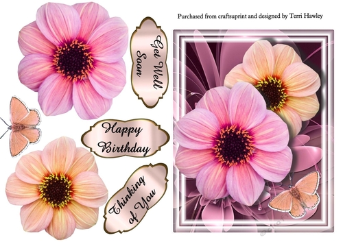 beautiful daisies - CUP1190902_906 | Craftsuprint